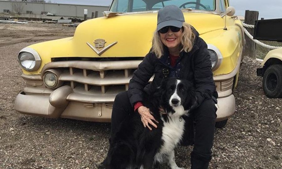 Animafest: Retrospektiva i izložba Suzan Pitt, dobitnice Nagrade za ...