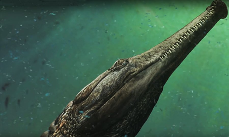 Otkriven najveći morski krokodil ikada! - tportal