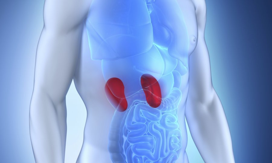 Evo što sve uzrokuje bubrežni kamenac - tportal