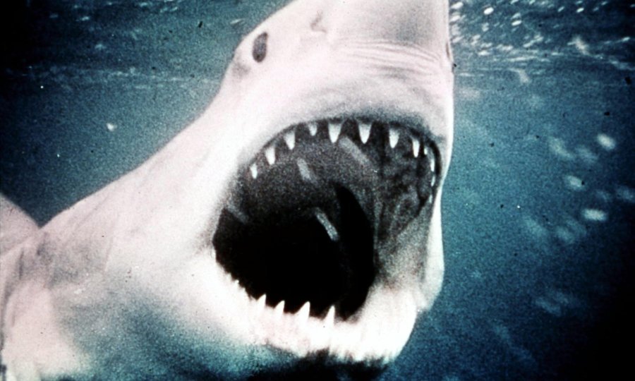 Proslavite 40. rođendan 'Ralja' na Skrivenim projekcijama! - tportal