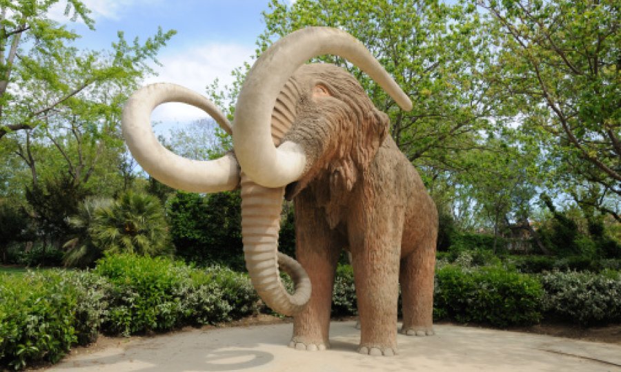 Znanstvenici pronašli način kako klonirati mamuta? - tportal