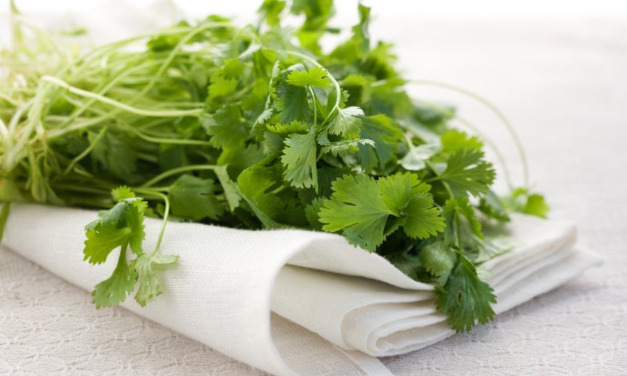 Ovo su namirnice koje se ili vole ili mrze - tportal