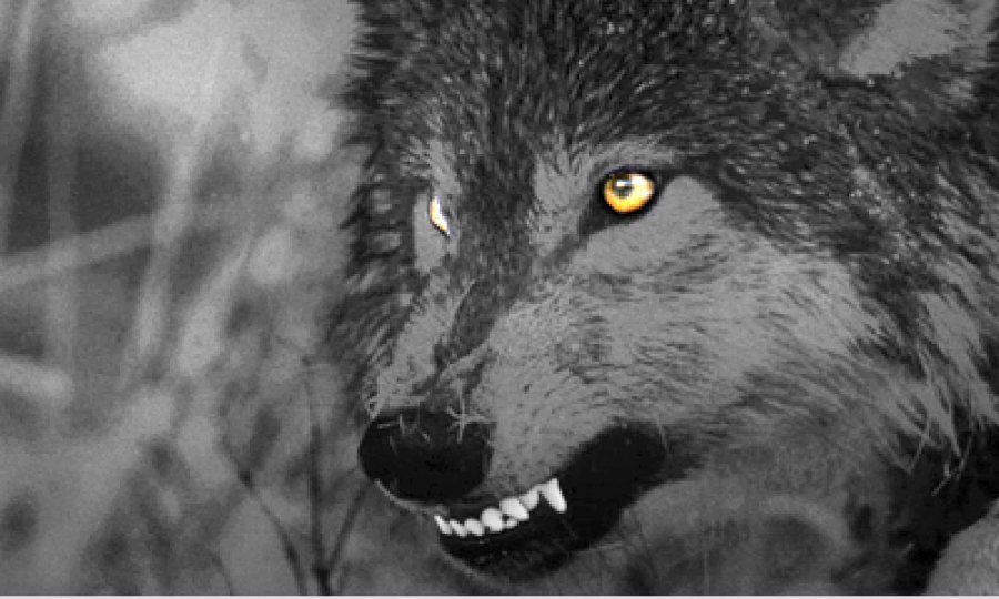 Pop ikone: Vukodlak - tportal