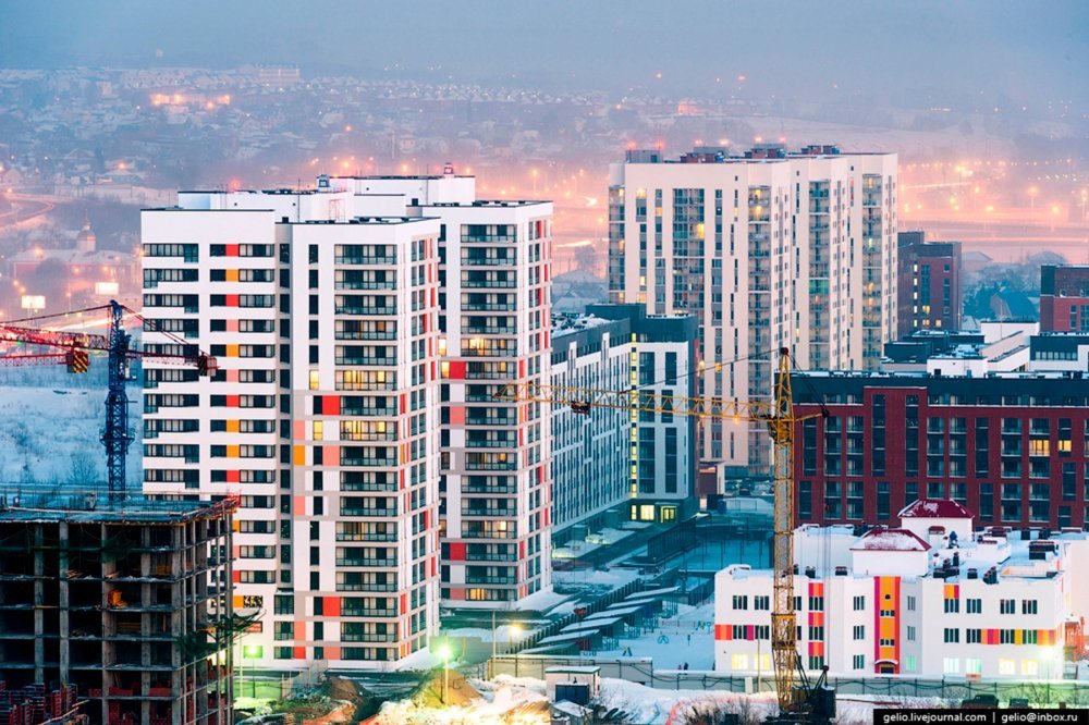 Tri svinje provalile u trgovinu pa se napile - tportal