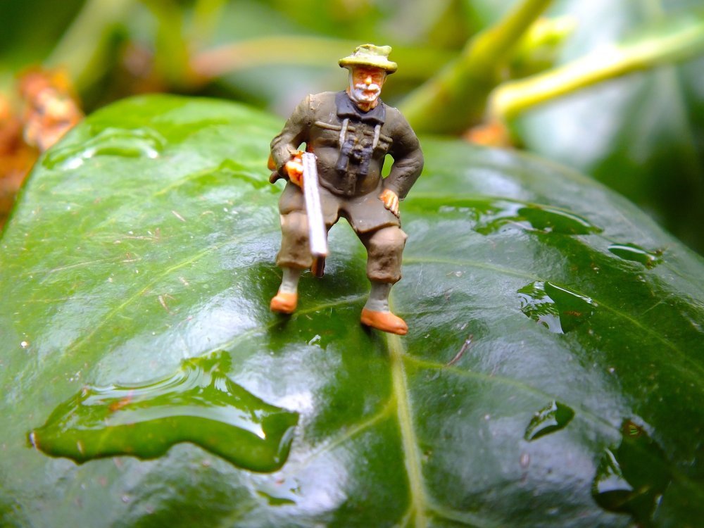 Češke figurice u prirodi neobično su zabavne - tportal