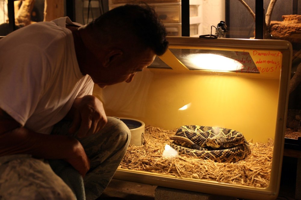 Upoznajte čovjeka koji svoj dom dijeli sa 60 otrovnica - tportal