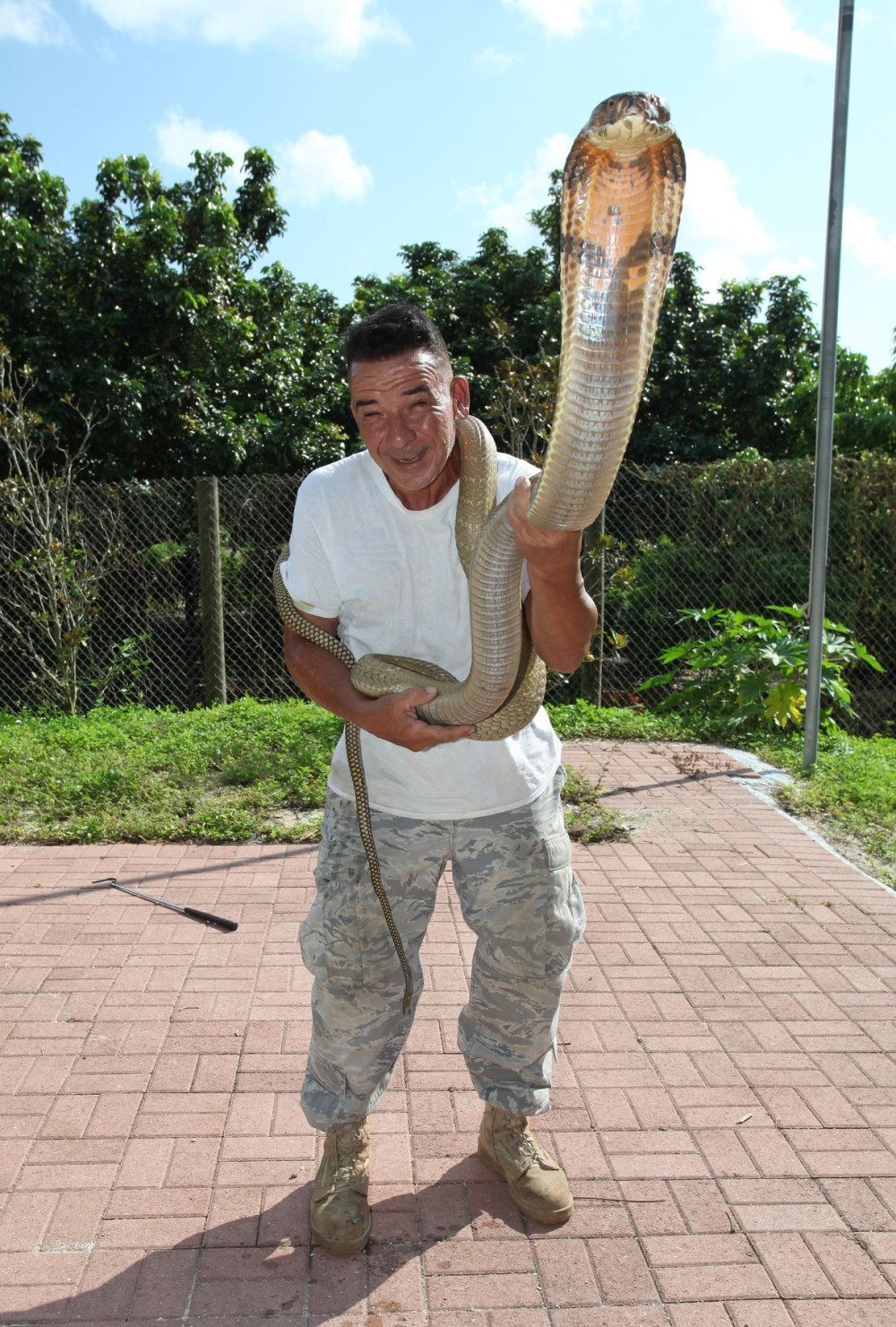 Upoznajte čovjeka koji svoj dom dijeli sa 60 otrovnica - tportal