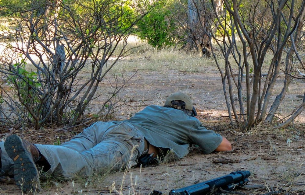 Pogledajte rijetke fotografije afričkih divljih pasa u lovu - tportal