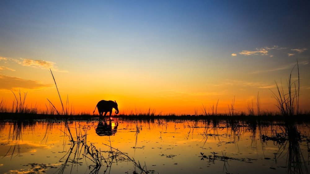 Pogledajte ove prekrasne izlaske i zalaske Sunca - tportal