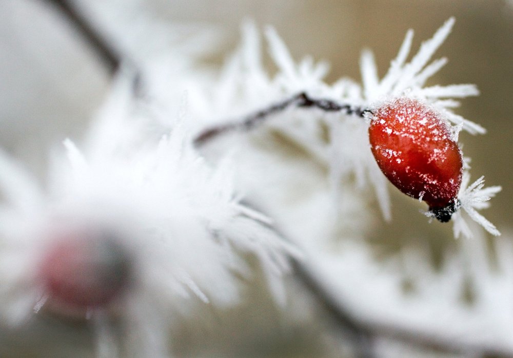 Priroda se po zimi pretvara u nadahnutu umjetnicu - tportal