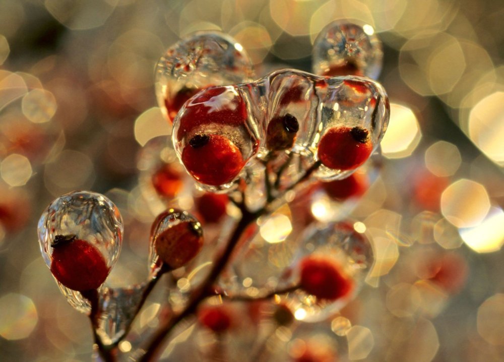 Priroda se po zimi pretvara u nadahnutu umjetnicu - tportal