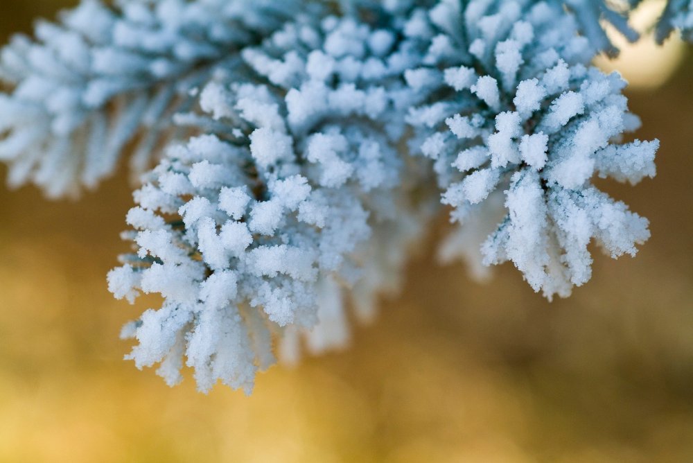 Priroda se po zimi pretvara u nadahnutu umjetnicu - tportal