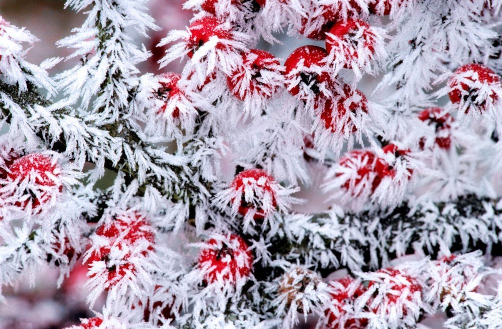 Priroda se po zimi pretvara u nadahnutu umjetnicu - tportal